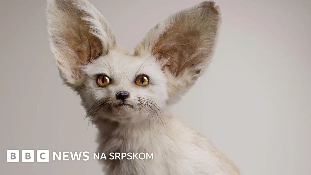 Genetski inženjering: Zašto bi „post-prirodno” doba moglo biti čudno i ...