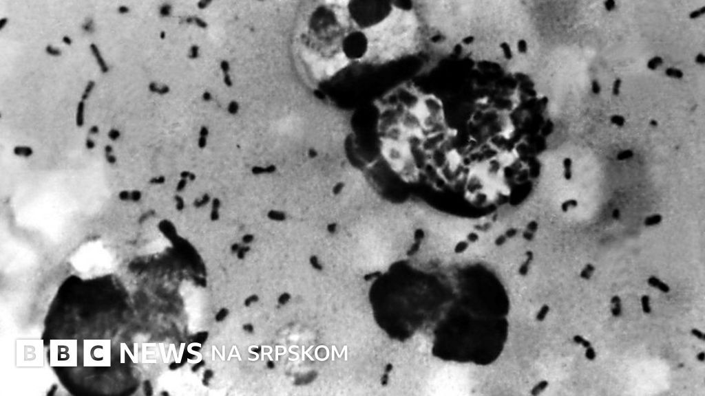 Kina i bubonska kuga: Mongolija preduzima mere predostrožnosti nakon ...