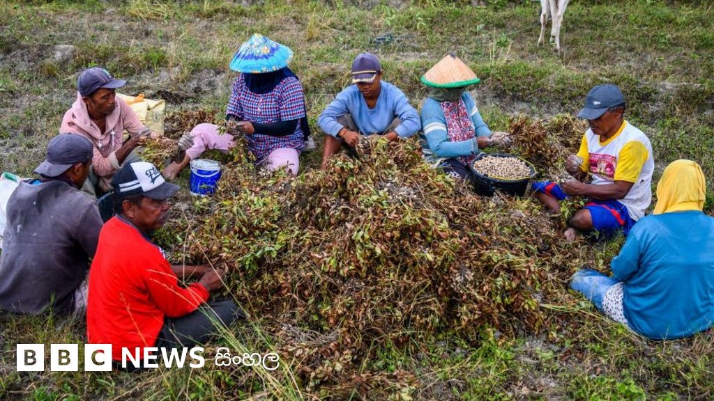 කොරෝනා වෛරසය: රැකියා මිලියන ගණනක් අනතුරේ - කෝටි පනහක් පුද්ගලයන් දරිද් ...