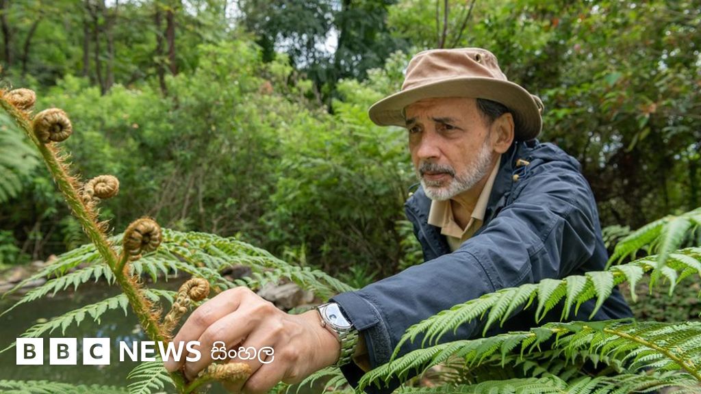 පරිසර විද්‍යාඥයින්ට පිරිනමන නොබෙල් ත්‍යාගය ලෙස සැලකෙන 'ලීනියන් පදක්කම ...