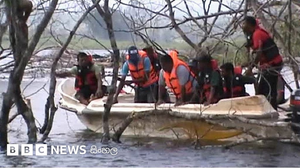 'මොරගහකන්දෙන්' අසරණවූ සතුන්ට සරණක් - BBC News සිංහල