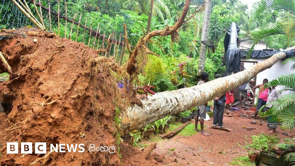 අයහපත් කාලගුණය: දකුණේ දහස් ගණනක් පීඩාවට "ආපදා ගැන 1902 අංකයට දැනුම් ...