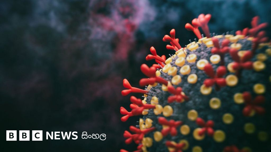 ඔමික්‍රෝන් BA.2: නව උප ප්‍රභේදය ගැන සැලකිලිමත් විය යුතු ද? - BBC News සිංහල
