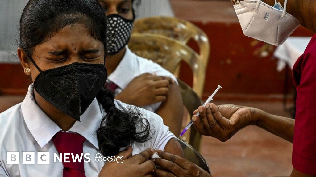 HPV එන්නත මඟින් ගැබ්ගෙල පිළිකාව 90%ක්ම වළකනබවට හෙළිවේ - BBC News සිංහල