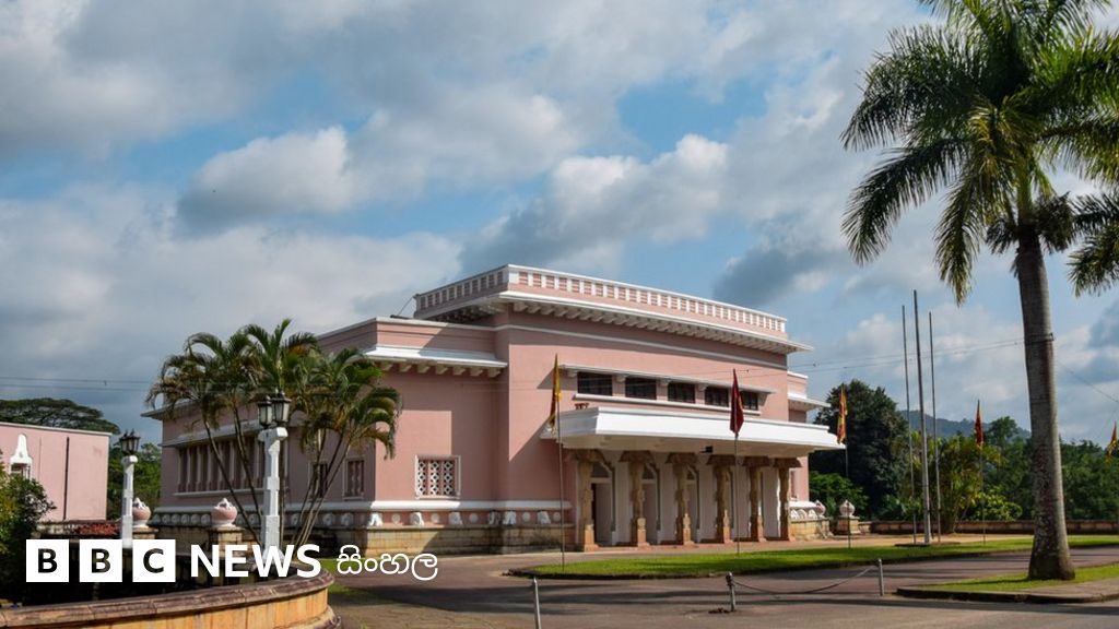 පේරාදෙණිය විශ්වවිද්‍යාලයේ ගස් කැපීම: "තොරතුරු හරියට දන්නේ නැහැ" - BBC ...