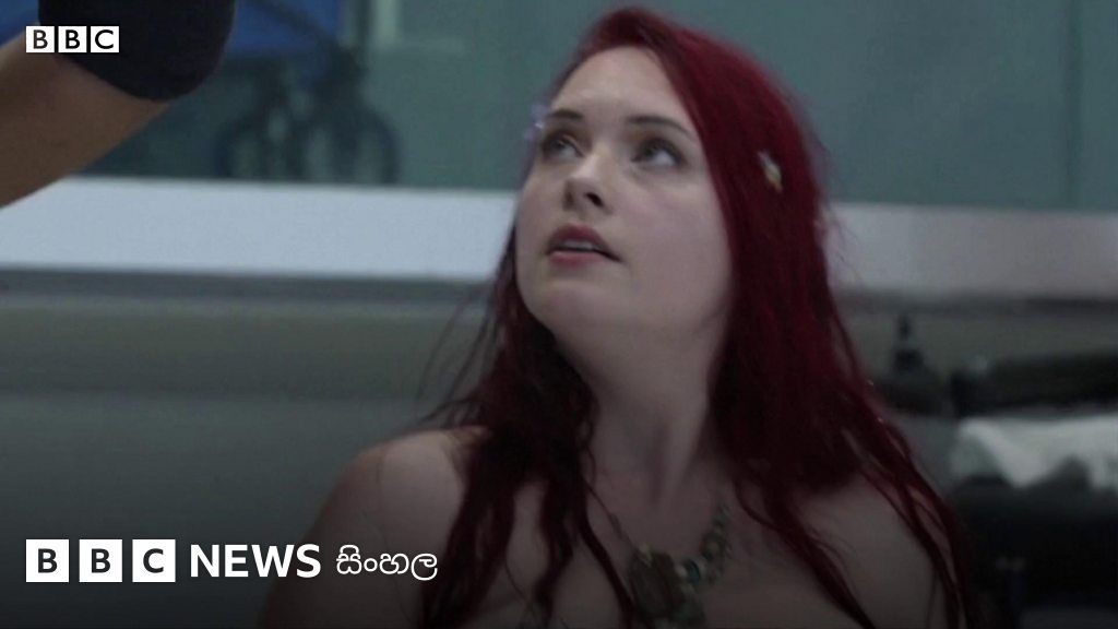 එක්සත් ජනපදයේ පැවැත්වුණු ලොව විශාලතම 'දිය කිඳුරු' සම්මේලනය - BBC News සිංහල