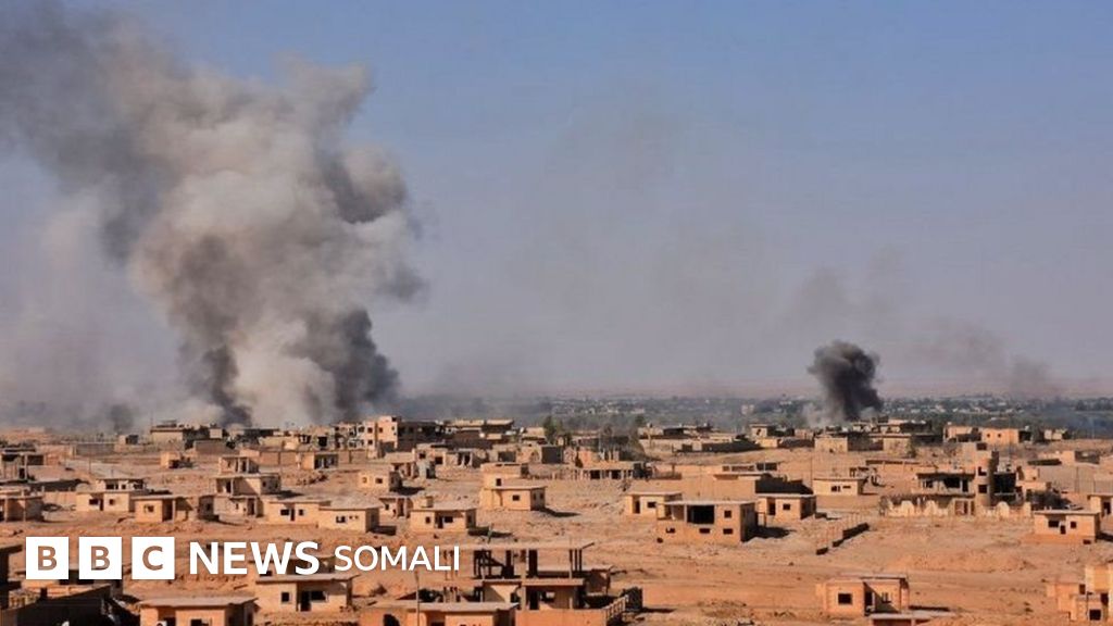 Suuriya: Kooxda la baxday Dawladda Islaamka oo dhul laga qabsaday - BBC ...