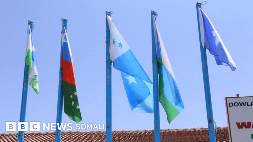 Maalinta Calanka: Calamada kala duwan ee Soomaalida iyo xilliyada ...