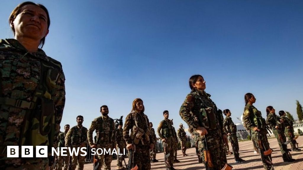 Suuriya : Labo cadaw isu ahaa oo u saaxiibay cadaw cusub - BBC News Somali