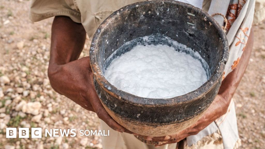 Faa'iidooyinka caanaha geela ee aan la ogeyn - BBC News Somali