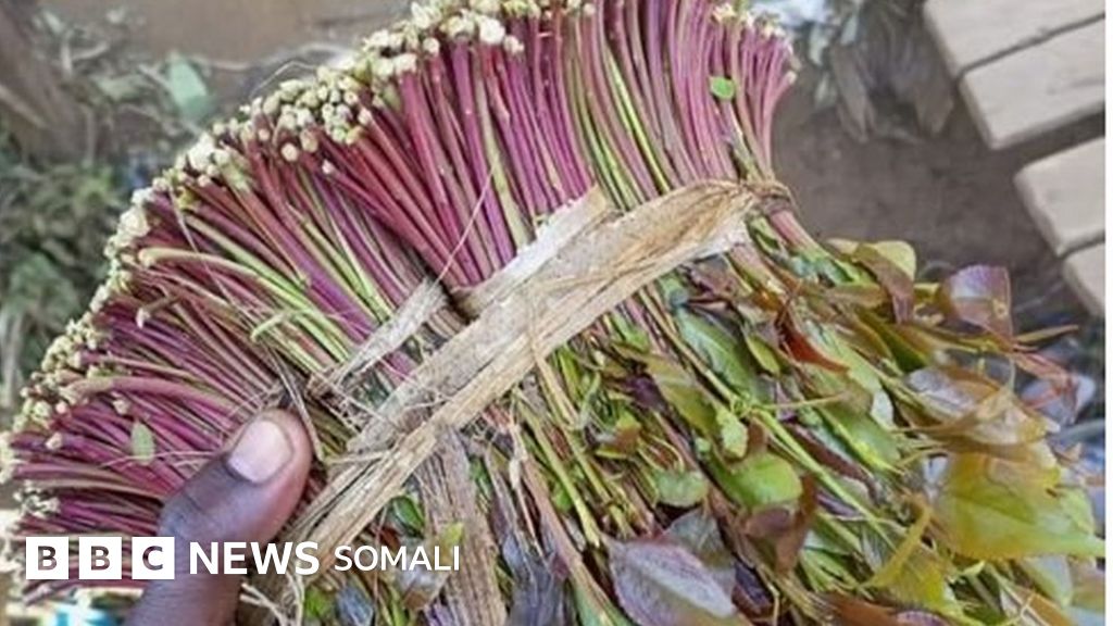 Maxay beeralleyda jaadka Kenya ka dhaheen dib u doorashada Xasan Sheekh ...