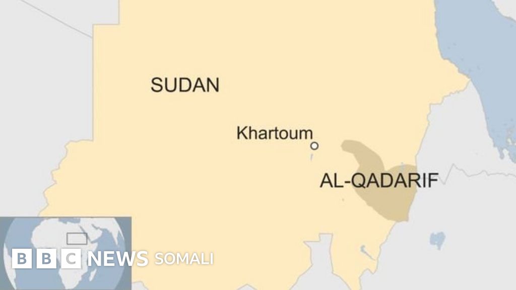 Diyaarad ku burburtay Suudaan oo ay saraakiil sar sare ku dhinteen ...