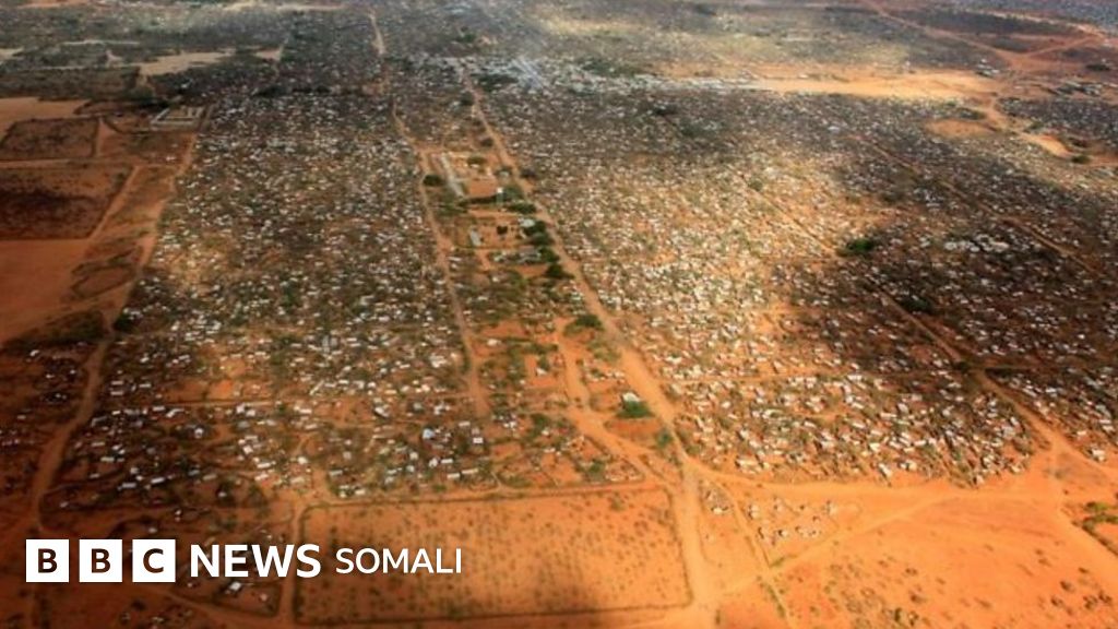 Waa sidee noolasha qaxootigii dib ugu laabtay Soomaaliya? - BBC News Somali