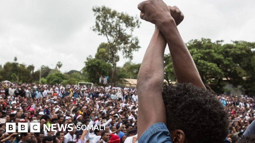 Itoobiya oo oodda ka qaaddaysa maxaabiis siyaasadeed - BBC News Somali