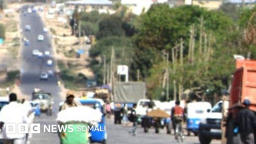 Qaar ka mid ah ganacsatada Soomaalida Jigjiga oo dhaqanaya digaaga ...