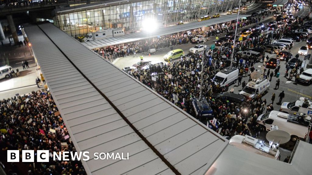 Maxkamad hakisay musaafurinta dadka fiisaha ku galay Mareykanka - BBC ...