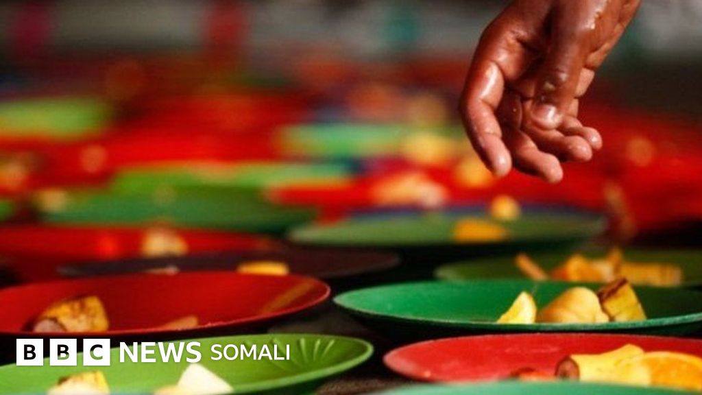 Toddobaadkan filo afar arrimood in ay dhacaan - BBC News Somali