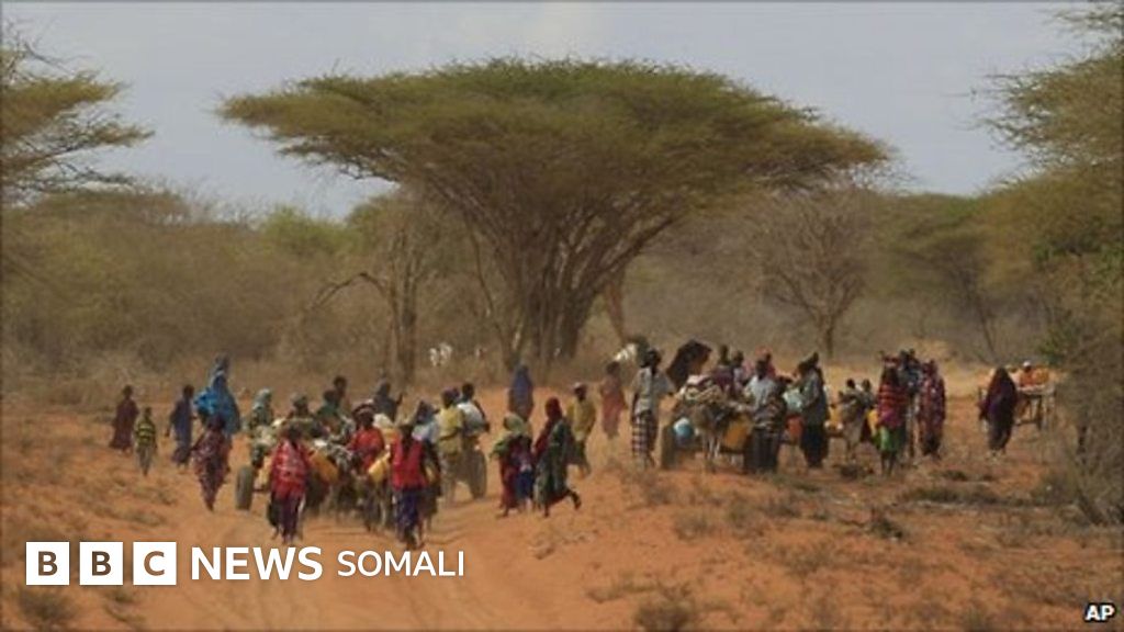 Abaaro saameeyay Galmudug - BBC News Somali