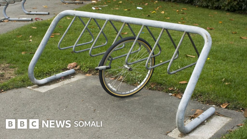 Wasiir baaskiil lagaga xaday Belgium - BBC News Somali