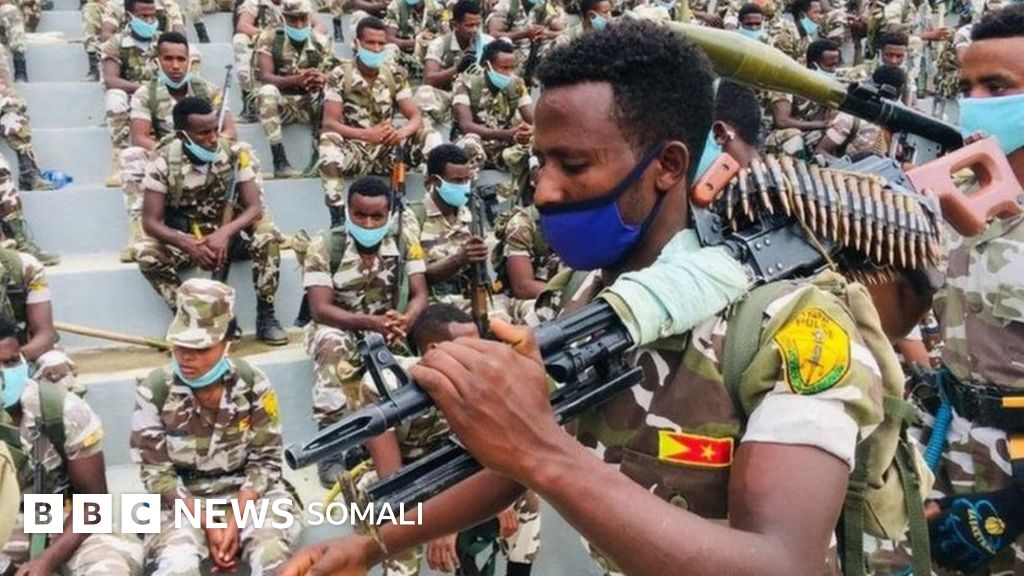 Maxaa looga cabsi qabaa Itoobiya iney kala go'do? - BBC News Somali