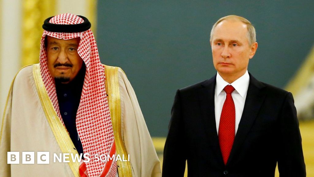 Madaxweynaha Ruushka oo Shimbir hadiyad uga dhigay boqorka Sacuudiga ...