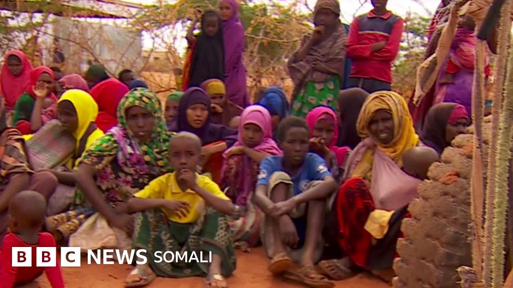 Soomaaliya: Abaarta Soomaaliya oo mareysa xaalad deyro ah - BBC News Somali