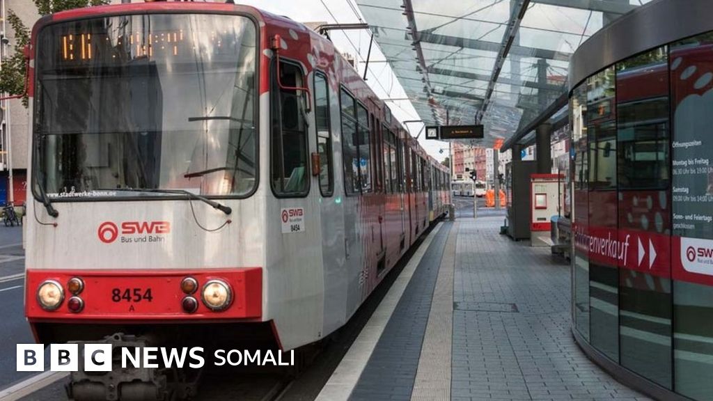 Rakaab joojiyay tareen uu darawalkiisii miyir beelay - BBC News Somali