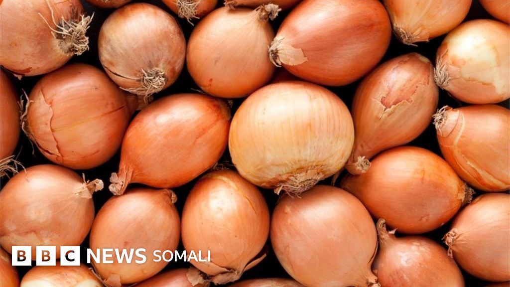 Maxay basasha qaarkeed ceeb ula noqotay Facebook? - BBC News Somali