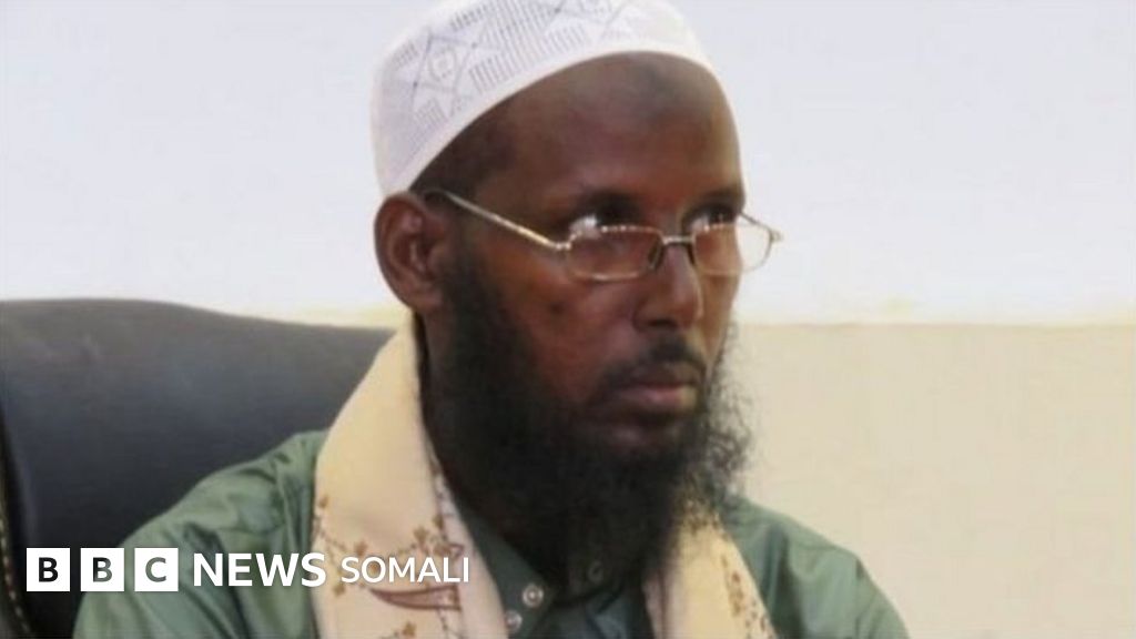HSNQ: 'Mukhtaar Roobow wuu nabad qabaa Jaamacad ayuuna dhigtaa' - BBC ...