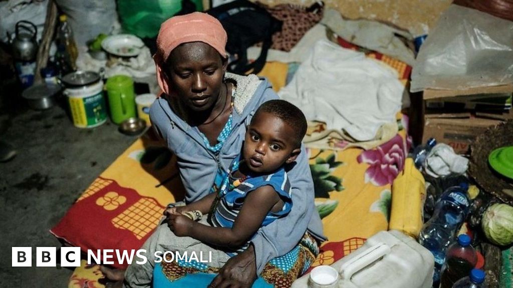 Qalalaasaha Tigray: Itoobiya oo hakisay shaqada hay'ado lagu eedeeyay ...