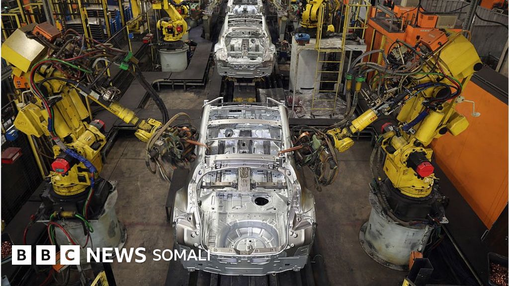 Ma-nooleyaal badeli doona 20 milyan oo shaqaale bini'aadam ah - BBC ...