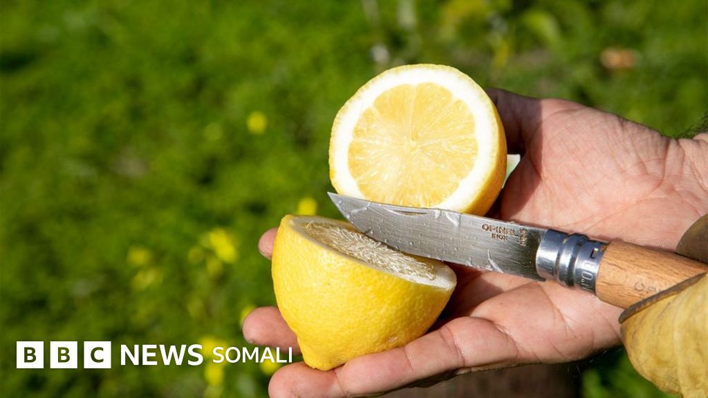 Faa'idada ay Liin-dhanaantu u leedahay Jirkaaga - BBC News Somali