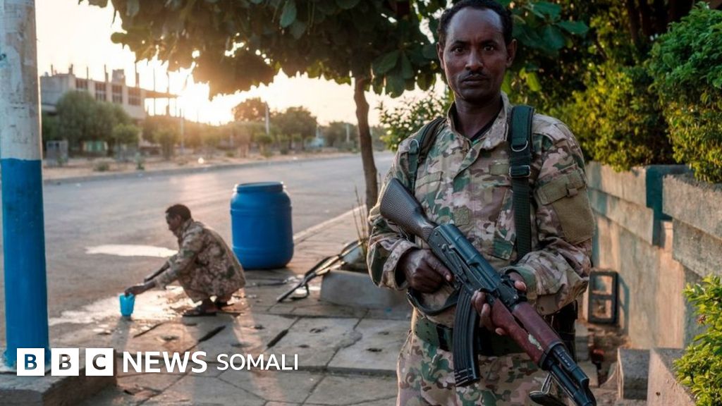 Qalalaasaha Tigray ee Itoobiya: Haddii hoggaamiyeyaasha TPLF ay isa soo ...