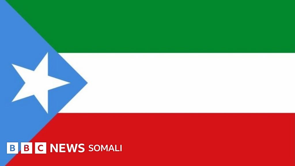 Baarlamaanka Jigjiga oo beddelay calanka dawlad deegaanka - BBC News Somali
