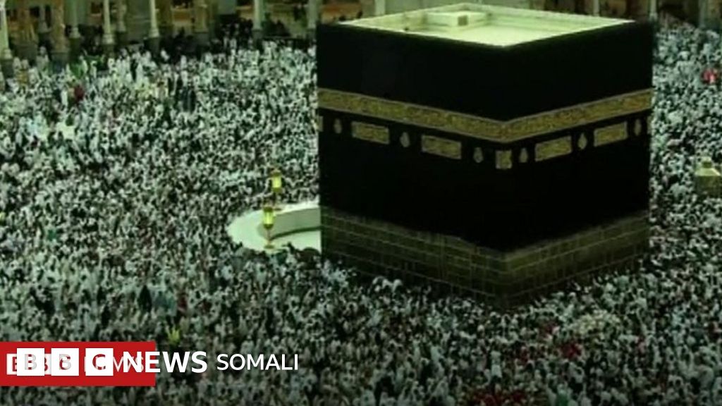 Xajka Soomaaliya laga aado muxuu uga qaalisan yahay kan dalalka gobolka ...