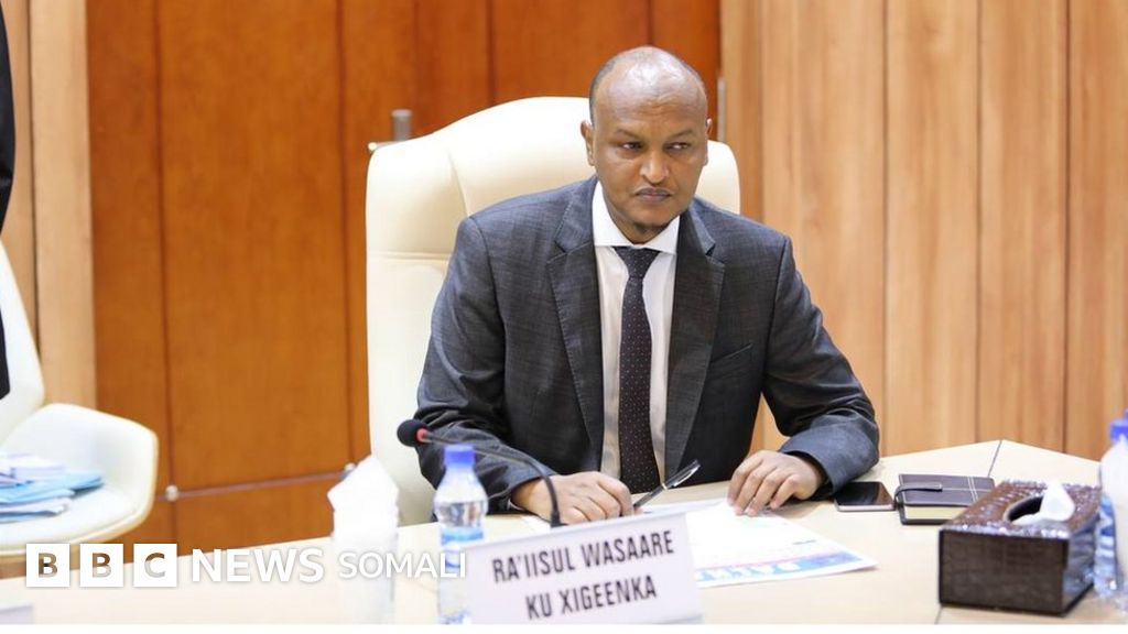 Xukuumadda oo markii ugu horeysay ka hadashay mooshinka madaxweynaha - BBC News Somali