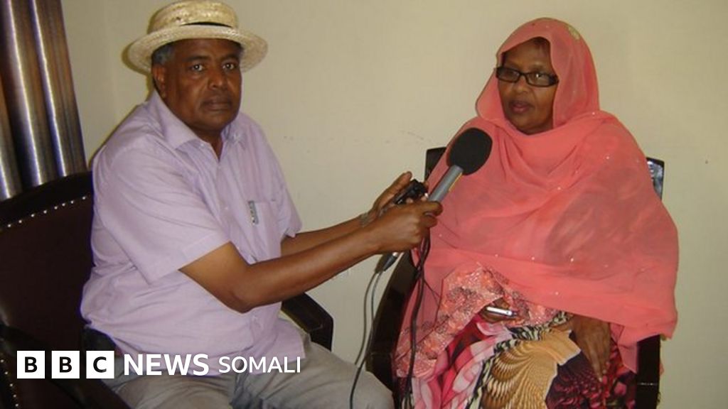 Dhoofka xoolaha nool oo sare u qaaday dakhliga Somaliland - BBC News Somali