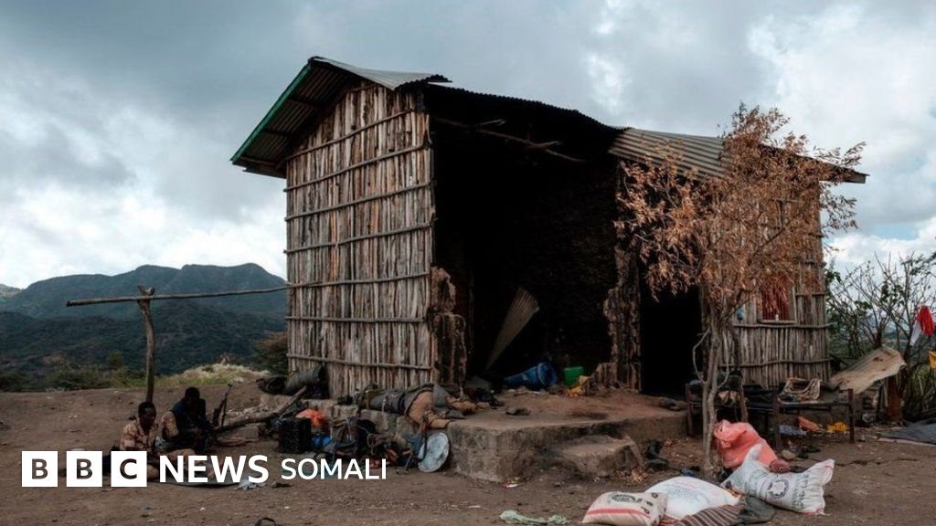Shaqaale gargaar oo lagu dilay gobolka Tigray ee Itoobiya - BBC News Somali