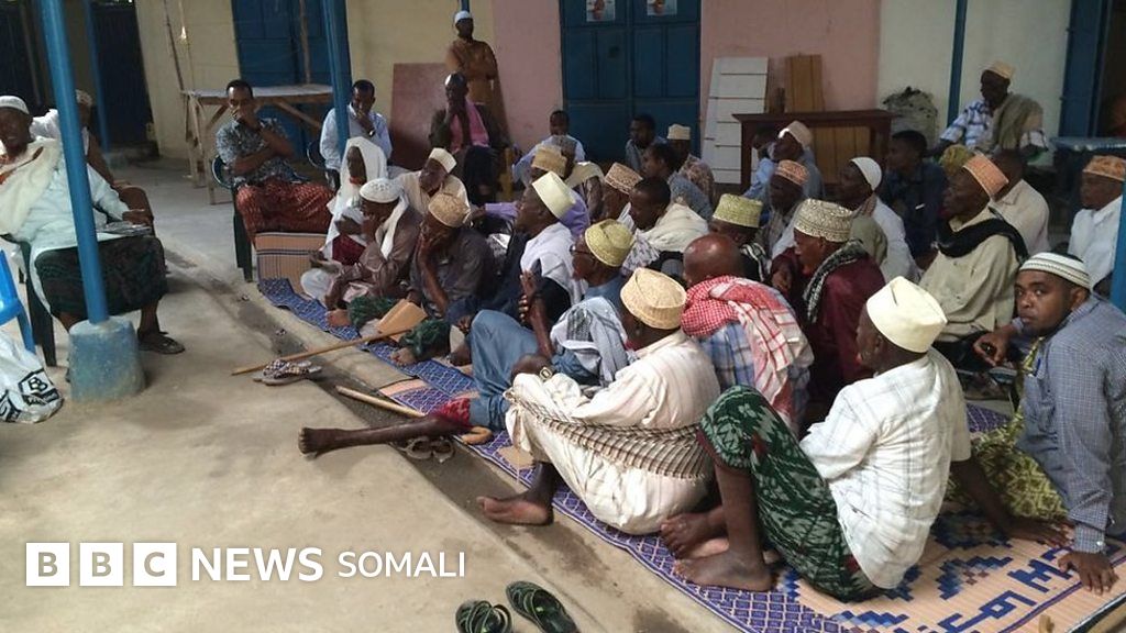 Xujay xoolo dhaqato u badan oo Gaarisa lagu tababarayo - BBC News Somali