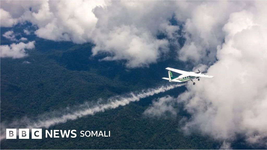 Carinta Daruurta: Qorshe Daruurta Roob looga keenayo oo ka billaabanaya ...