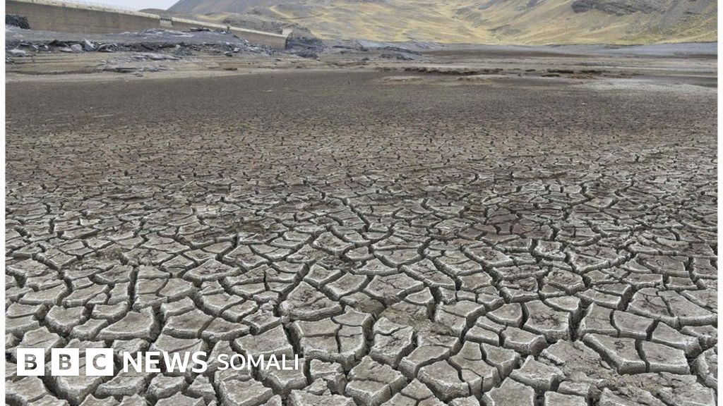 Bolivia: Abaaraha dartood iskuullo badan ha loo xiro - BBC News Somali