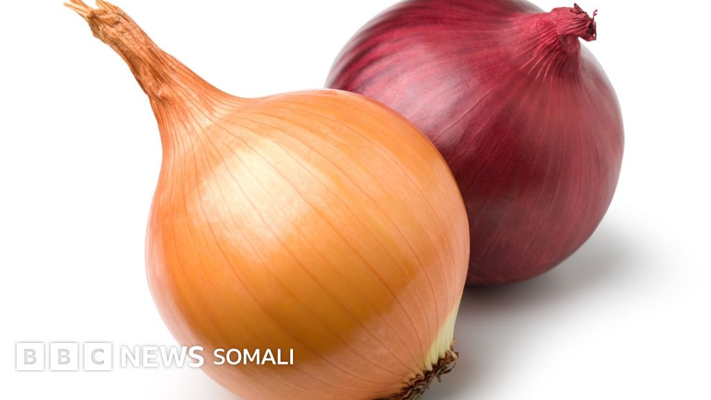 Muxuu yahay cudurka 'ay basasha sababtay' ee ka dillaacay Mareykanka ...