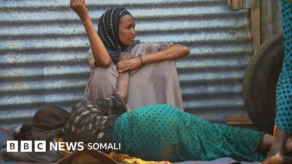 Abaaraha: 26 qof oo ku dhintay deegaanno ka tirsan Jubbaland - BBC News ...