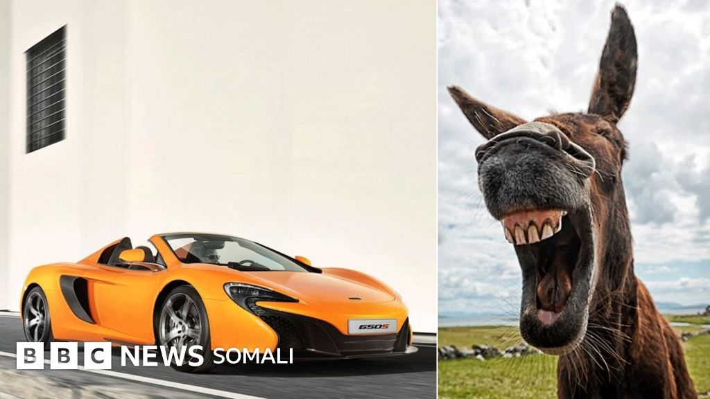 Jarmalka: Dameer qaniinay gaari oo lacag lagu ganaaxay - BBC News Somali