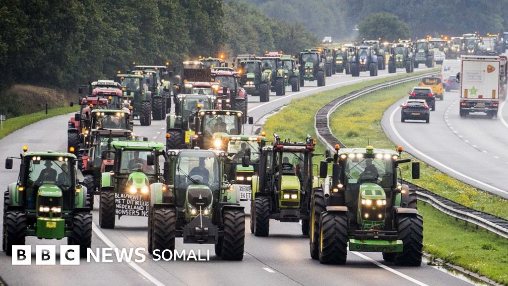 Beeraley cagaf-cagafyo u adeegsaday dibadbax - BBC News Somali