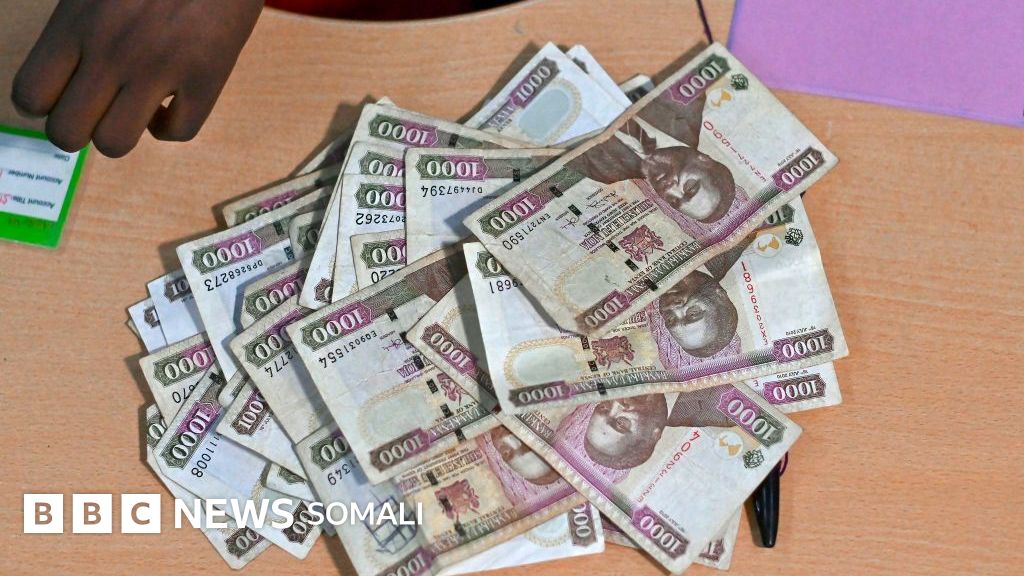 Sidee askarigan looga dhacay lacag malaayiin ah? - BBC News Somali