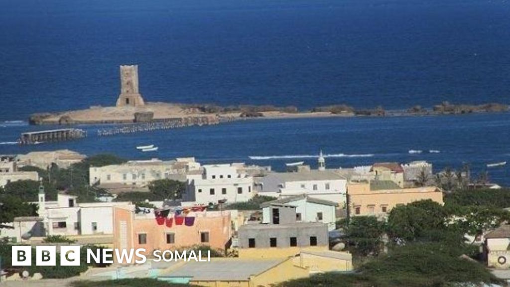 Muxuu salka ku hayaa dagaalka ka dhacay Baraawe, khasaare intee la'eg ...