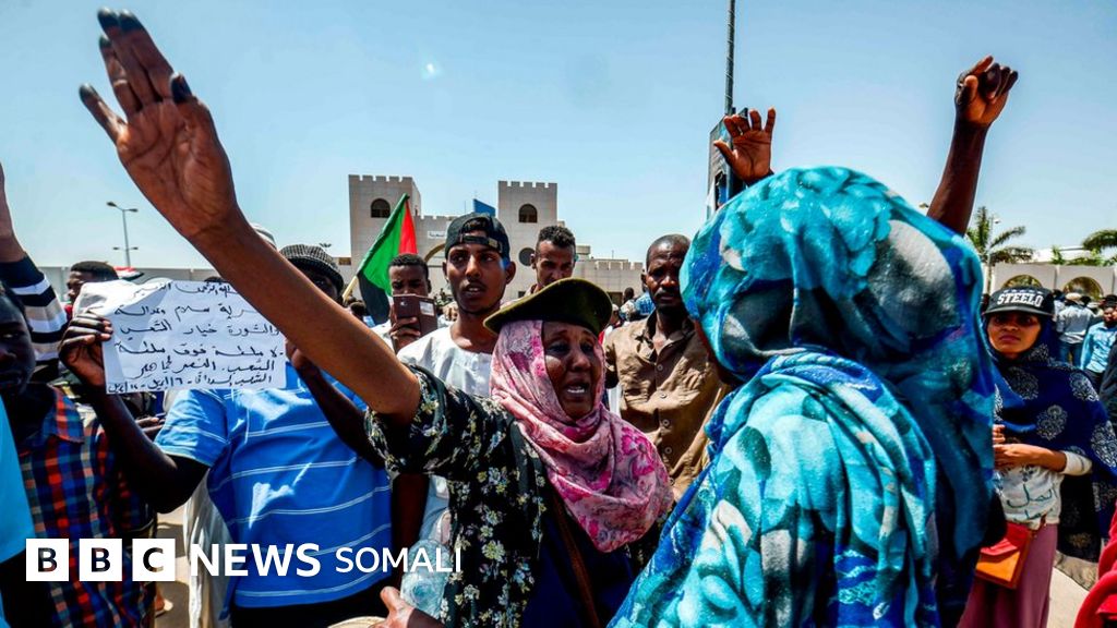 Mudaharaadayaasha Suudaan: Waxaan degdeg ku dooneynaa dowlad rayid ah ...