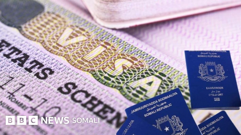 Fiisaha waddamada Midowga Yurub oo qaabka loo codsado la fududeynayo ...