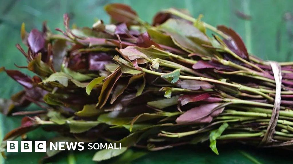 "Nin jaad cuna gabar lama siinayo" amarrada ka dhanka ah khaatka ee ...